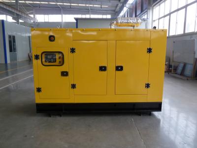 Cina Power Generator Silent Biogas Generator Factory Supplier in vendita