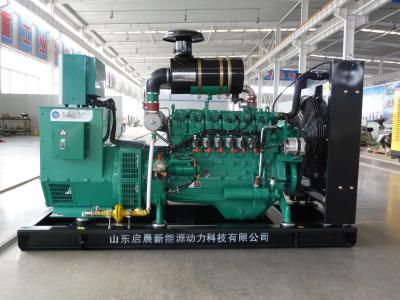 Cina Small Home Generator CPG Generator Gas Generator With Long Service Life in vendita