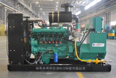 Cina ISO CE Certificated CPG Generator Natural Gas Generator Set in vendita