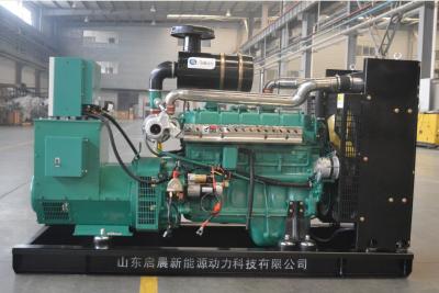 Cina ISO CE Certificated CPG Generator Natural Gas Generator Set in vendita