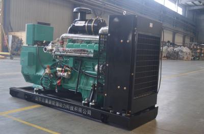 Cina ISO CE Certificated CPG Generator Natural Gas Generator Set in vendita