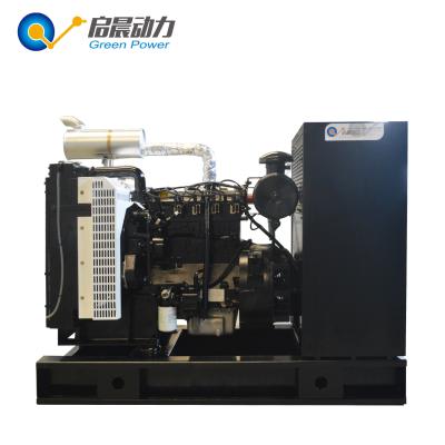 Cina High Efficiency Gas Turbine Generator LPG Generator 50kw in vendita