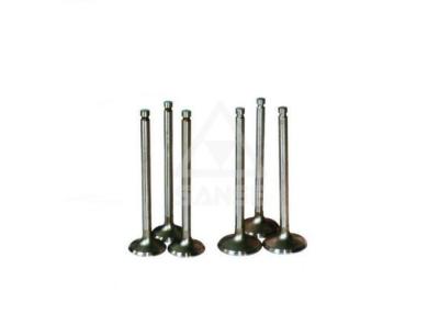 China 6D31 Engine Valve Seat Intake & Exhaust Valve Mitsubishi Diesel Engine Parts for sale