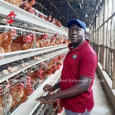 China Resistência de oxidação galvanizada camada do sistema da gaiola de bateria das aves domésticas da galinha na exploração agrícola Mia à venda