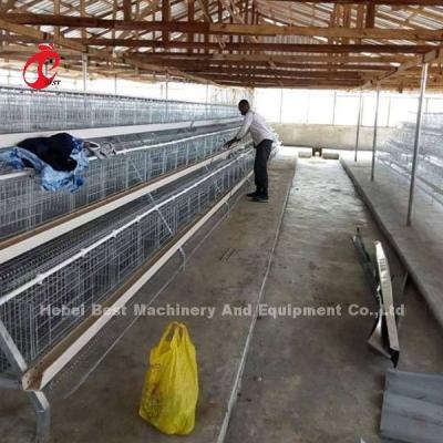 Cina Pollo A e sistema automatico della gabbia in batteria di H per l'allevamento di avicoltura sabbioso in vendita