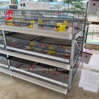 China A Or H Type Broiler Chicken Cage 96 Matured Broilers Capacity Emily for sale