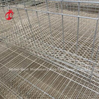 Cina Tipo galvanizzato gabbia di H o di A del pollo da carne per una del giorno scorso al pollo adulto Doris in vendita
