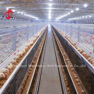 Cina Tipo galvanizzato gabbia di H o di A del pollo da carne per una del giorno scorso al pollo adulto Doris in vendita