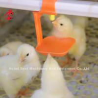 China Baby Chick 2.5mm Brooder Cage Automatic Rearing System Rose for sale