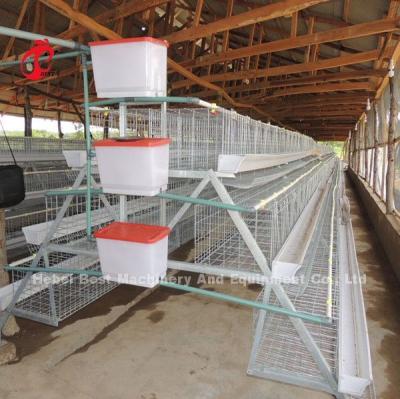 China 120 Birds 200 Birds Capacity Poultry Battery Cage System For Layers Broilers Chicks Star for sale