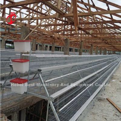 China Laying Hens 256 Birds Battery Cage Poultry Farming In Zambia Sandy for sale