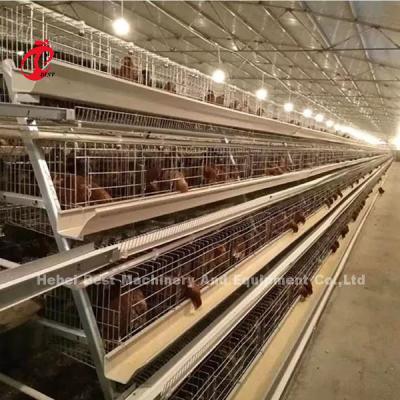 Cina 4 capacità completamente automatica del sistema 160 della gabbia in batteria della fila per l'azienda avicola del pollo Doris in vendita