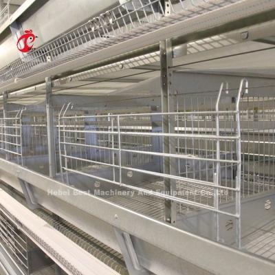 Cina 2Sistema di gabbia a batteria a 2 metri per 120-200 polli Adela in vendita