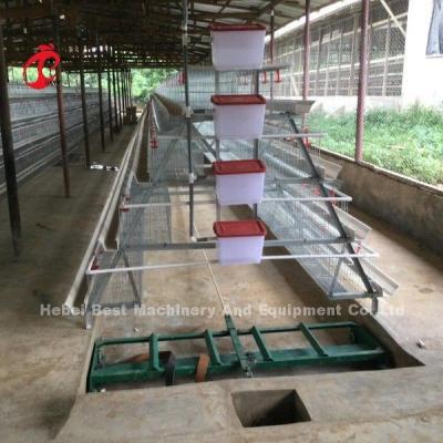 Cina 2Sistema di gabbia a batteria a 2 metri per 120-200 polli Adela in vendita