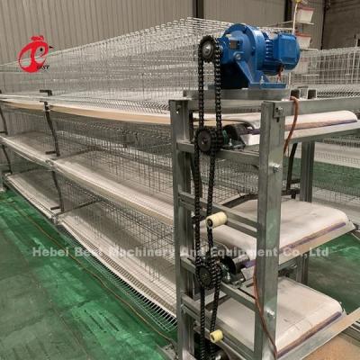 China Hühner 12 Zellen Schicht Batterie Käfig System 4 Stufe für die Farm Adela zu verkaufen