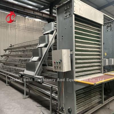 Cina Diametro del filo di gabbia 2,8 mm-3,5 mm Sistema di gabbia per agricoltura a strati con sistema automatico di bere Adela in vendita
