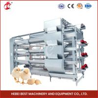 China Customization 120 Birds  Automatic Poultry Brooding Cage System For Pullet Chicks Sandy for sale