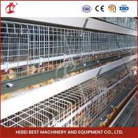 China Customization 120 Birds  Automatic Poultry Brooding Cage System For Pullet Chicks Sandy for sale
