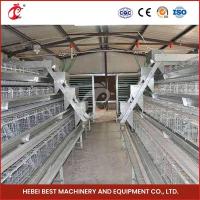 China Customization 120 Birds  Automatic Poultry Brooding Cage System For Pullet Chicks Sandy for sale