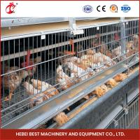 China Full Automatic System Pullet Cage With Hot Deep Galvanization H Type Shape Emily for sale