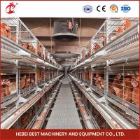 China Automatic Poultry Farm Equipment With Automatic Feeding System Rose for sale