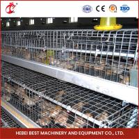 China Poultry Farm Automatic Pullet Chick Brooder Cage For Day Old Layer Chicken Ada for sale