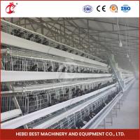 China Hot Galvanized Automatic 160 Chickens A Type Layer Cage Adela for sale