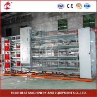 China H Type 25 Years Lifespan Hot Dip Galvanized Automatic Layer Cage System Iris for sale