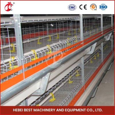 Cina 96-128 Polli Broiler gabbia di pollo Mia completamente automatica in vendita