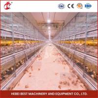China H Type Farming Chick Brooder Cage Full Automatic Feeding System Rose for sale