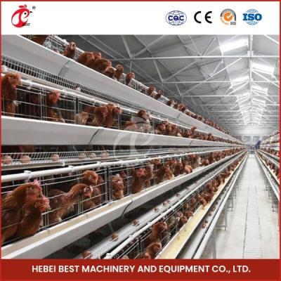 Cina Cage Mesh Tipo H Broiler Chicken Cage con ventilazione per uccelli sani in vendita