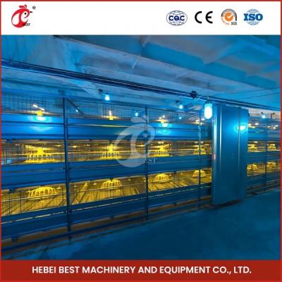 Cina Risparmio di spazio Sistema automatico di gabbia per polli da pollo per 120-200 polli in vendita