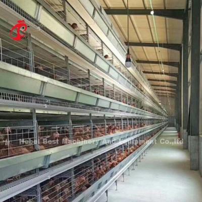 Cina Sistema di gabbia per pollame modulare per allevamenti a strati galvanizzati a caldo Capacità di gabbia a batteria 96-200 Uccelli di sabbia in vendita