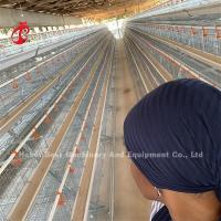 China Manual A Frame Layer Battery Cage System Semi Automatic Emily for sale