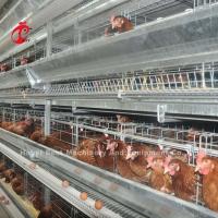 China Semi Automatic Poultry Layer Cage Feeding System 1.5KW 380V  Doris for sale
