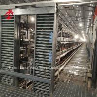 China A H type Automatic Layer Poultry Equipment Breeder Chicken Cage System Sandy for sale
