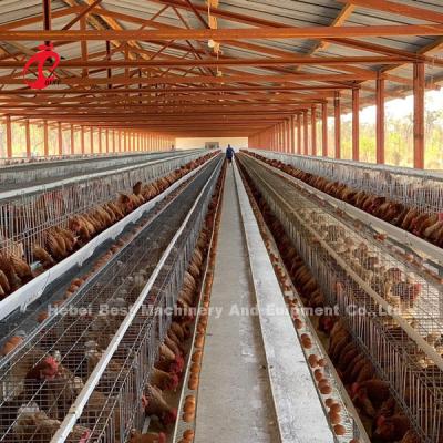 China 120-Cage Automatic Battery Chicken Cage System with Galvanized Surface Adela à venda