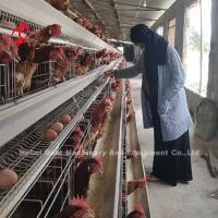 China Manual A Frame Layer Battery Cage System Semi Automatic Emily for sale