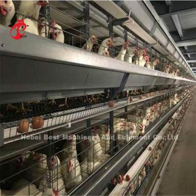 China De wijd Gebruikte Kooi van de het Gevogeltelaag van de Ijzerdraad voor Commerciële Kip Mia Te koop