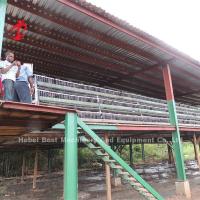 China A type Broilers Battery Cage Poultry Farming ISO14001 Doris for sale