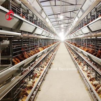 China 2.2m Poultry Farming Cage System , 9 Tiers Battery Cage For Layers Rose for sale