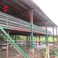 China Battery Poultry Farming Cage System Decrease Temperature For Layers Star for sale