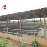 China Battery Poultry Farming Cage System Decrease Temperature For Layers Star for sale