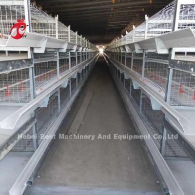 China H Type Broiler Chicken Cage CE , Full Automatic Broiler Cage Equipment Adela for sale