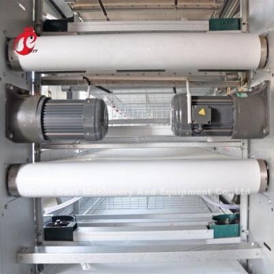 China H Type Broiler Chicken Cage CE , Full Automatic Broiler Cage Equipment Adela for sale