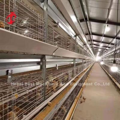 China H Type Broiler Chicken Cage CE , Full Automatic Broiler Cage Equipment Adela for sale