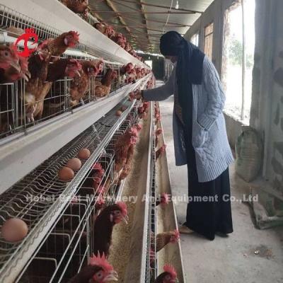Cina Gabbia su misura del pollo di strato, gabbia in batteria d'acciaio a basso tenore di carbonio Doris del pollame Q235 in vendita