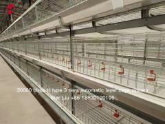 25 Years Lifespan A H Type Automatic Chicken Cage Equipment For Layers Broilers Chicks Star