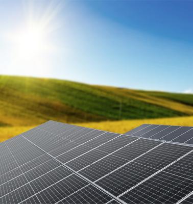 中国 高性能550Wの農業の高い発電の太陽電池パネルはガラス モノラル モジュールを倍増する 販売のため