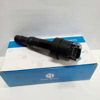 Quality 27300-03150 Car Ignition Coils For KIA DONG DENG YUEDA 2016-2017 Car for sale
